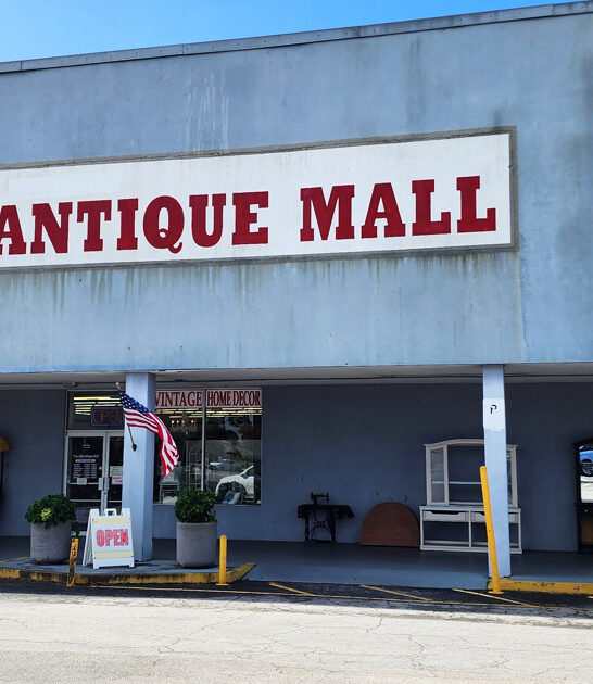 collectibles store florida wonderland ftr