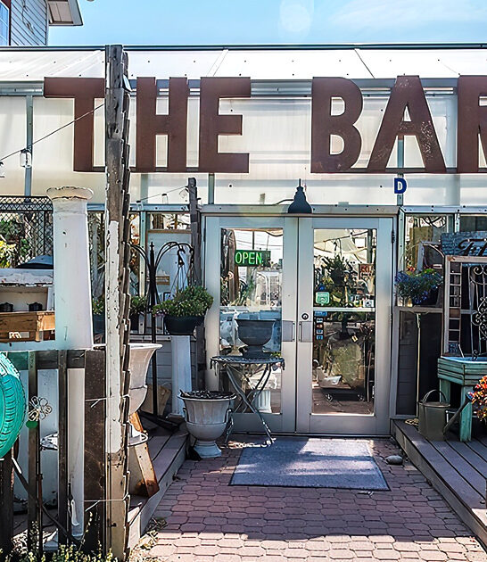 colorado underrated vintage store ftr