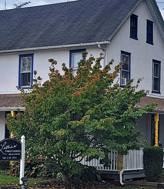 comfort food restaurant delaware ftr