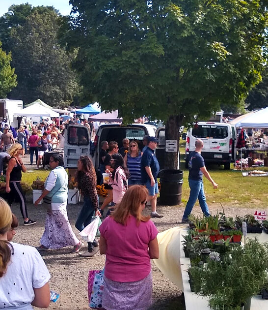 connecticut massive bazaars ftr