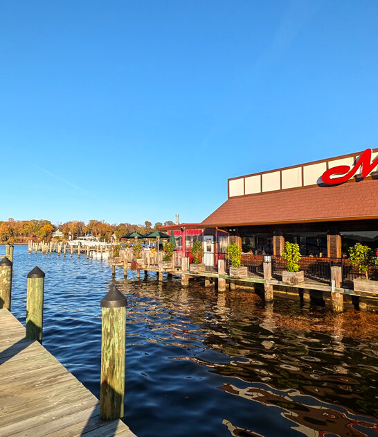 crab cakes maryland restaurant ftr