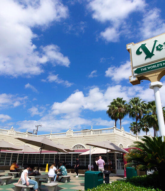 cuban sandwiches florida cafe ftr