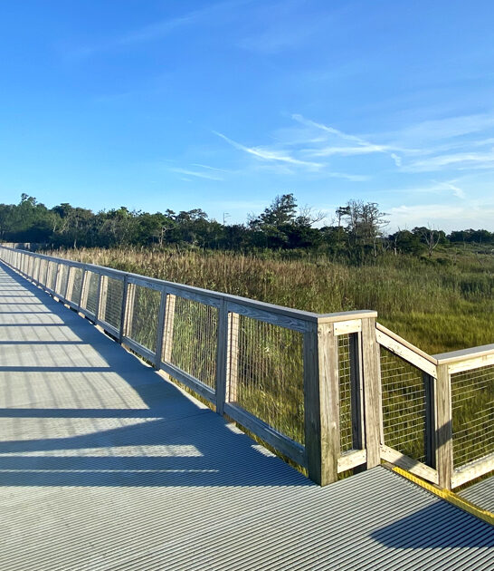 delaware 5 mile trail ftr