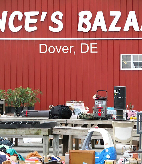 delaware bargains flea market ftr