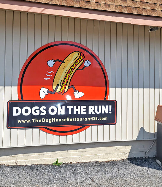 delaware best hot dogs ftr