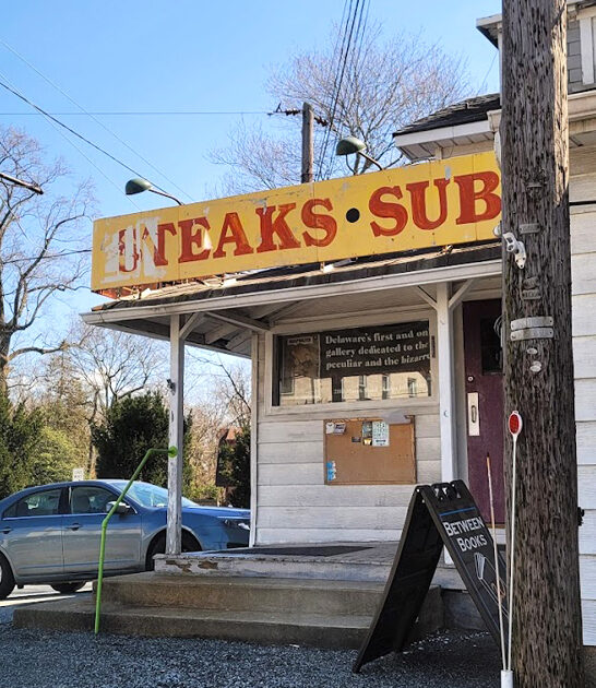 delaware bizarre treasure shop ftr