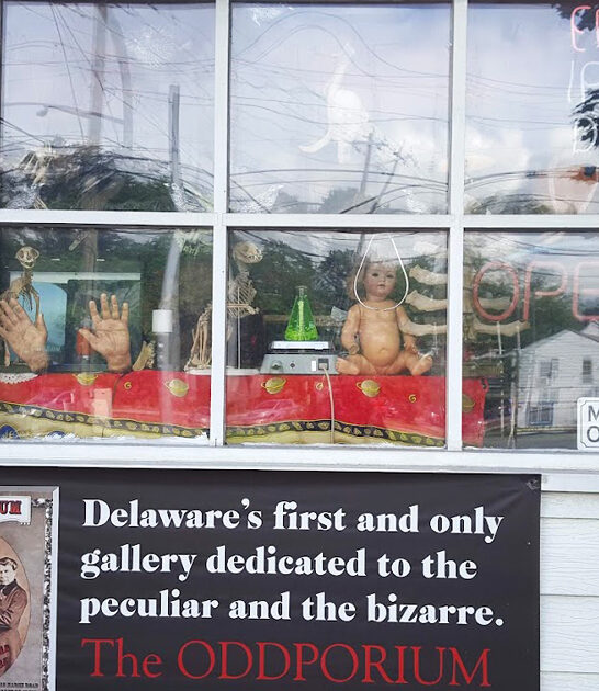 delaware coolest treasure shop ftr