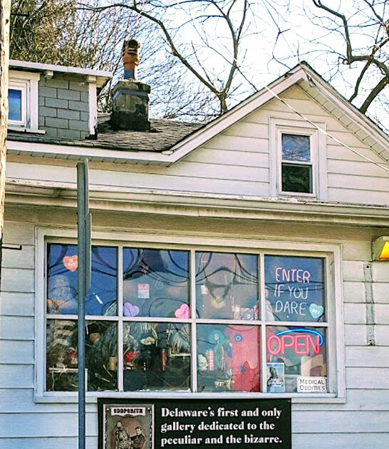 delaware curiosity collectibles store ftr