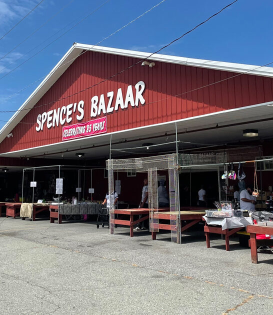 delaware enormous bazaar ftr