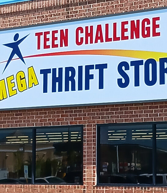 delaware gigantic thrift store ftr