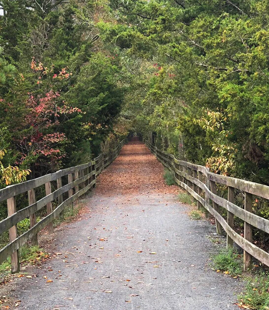delaware picturesque trail views ftr
