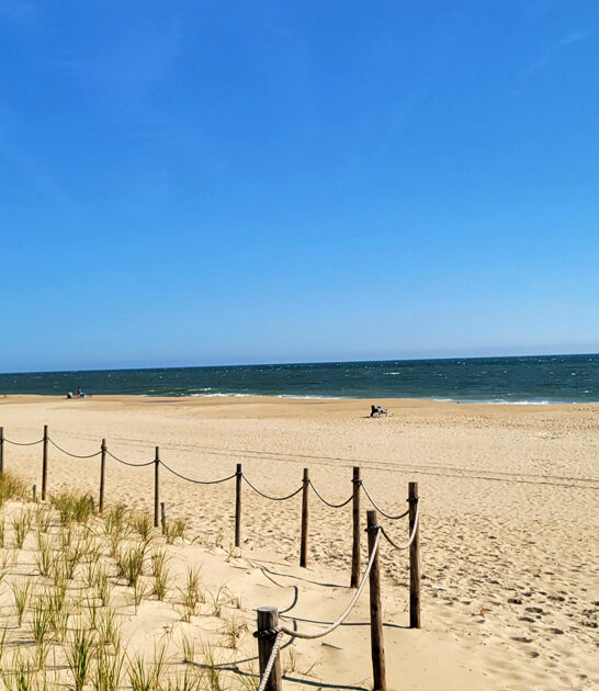 delaware secret beach ftr