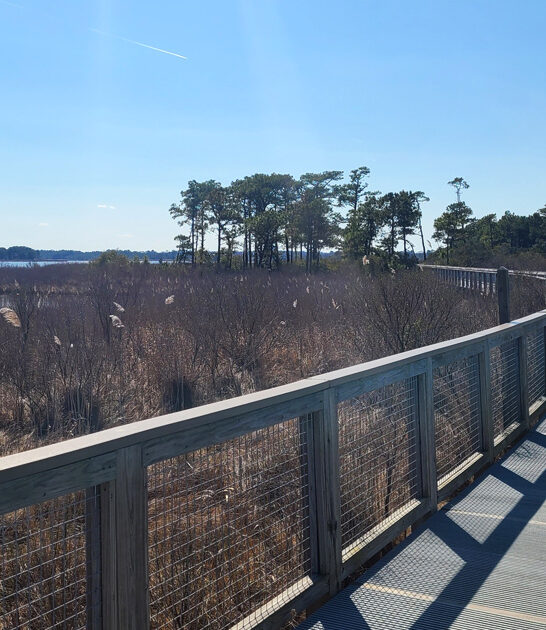 delaware stunning trail ftr