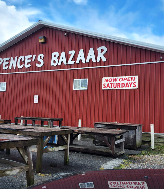 delaware unbeatable deals bazaar ftr