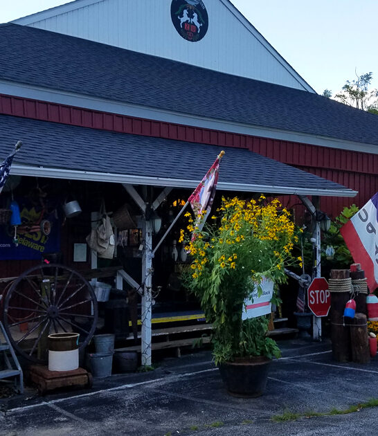 delaware underrated collectibles store ftr