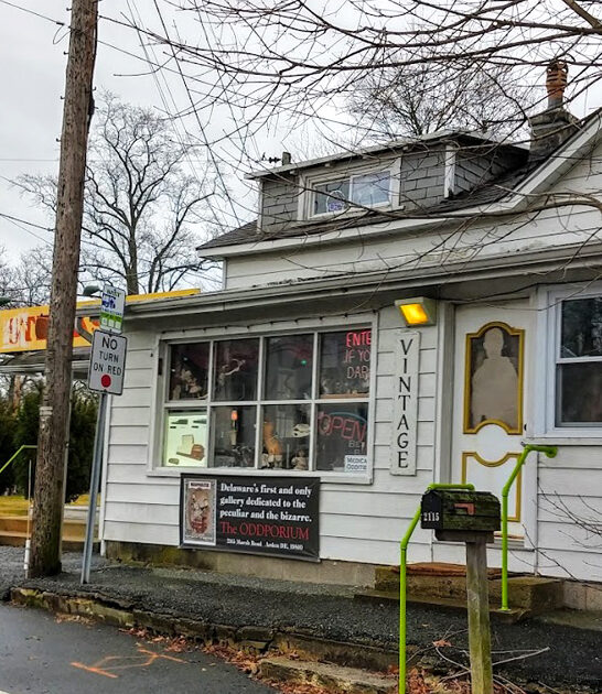 delaware weird treasure store ftr