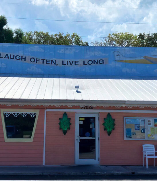 delicious lime pies florida ftr