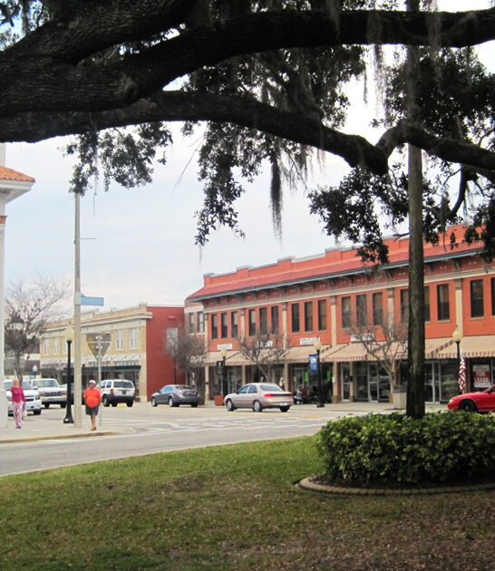 delightful little town florida ftr