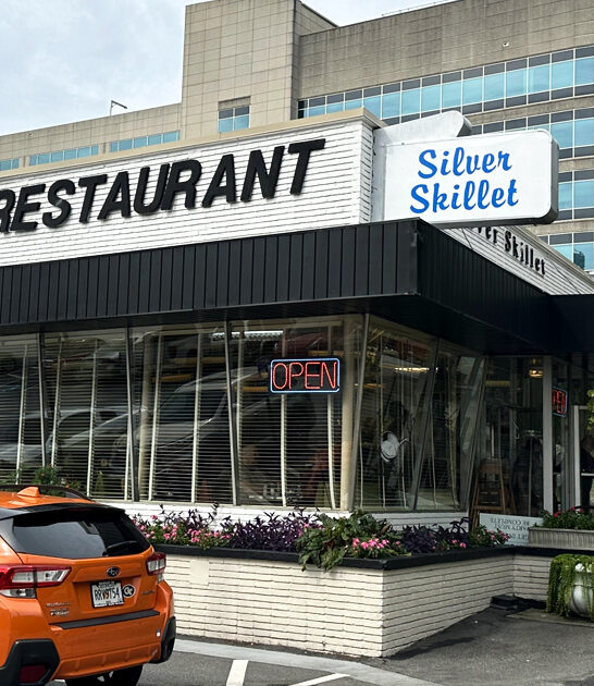 diner georgia fried steak ftr
