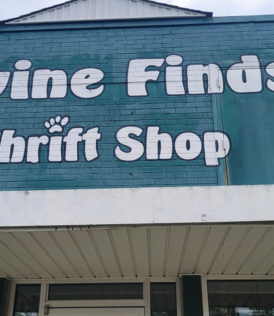 discount north carolina stores ftr
