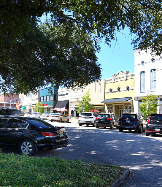 dreamy alabama spring break ftr