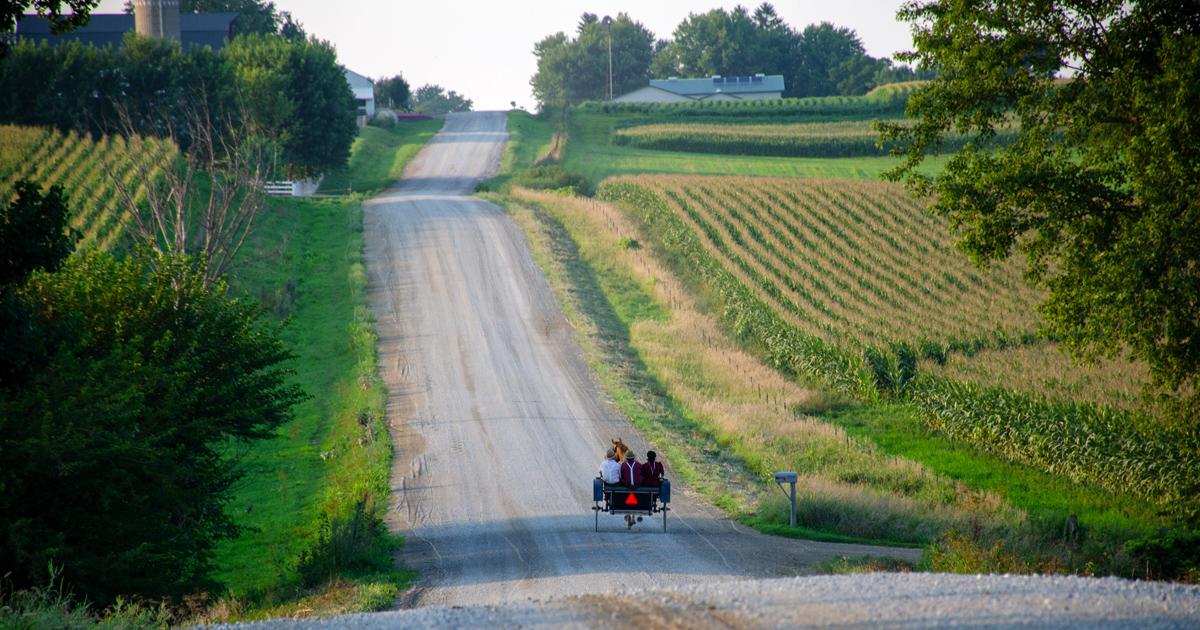 The Dreamy Amish Town In Iowa That’s Practically Made For Mother’s Day