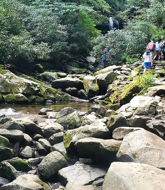 dreamy easy hike tennessee ftr
