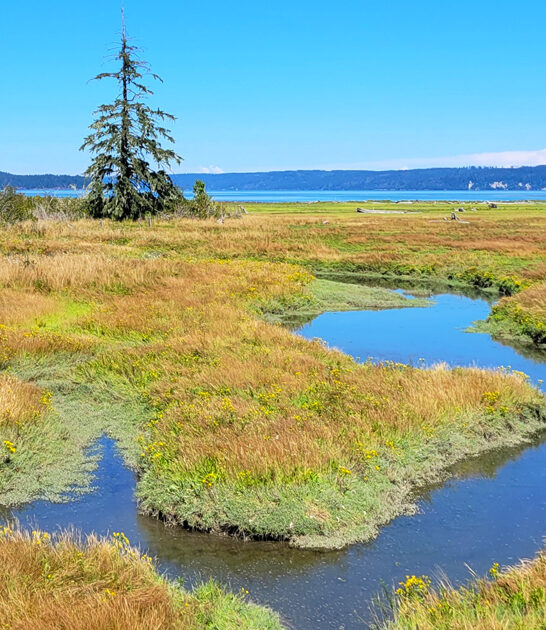drive state parks washington ftr