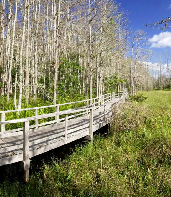 easy hike florida ftr