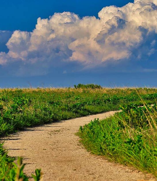 easy hike kansas ftr