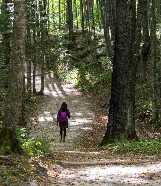 easy hike michigan scenic ftr