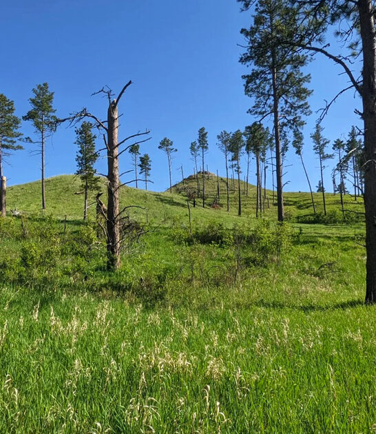 easy hike nebraska ftr