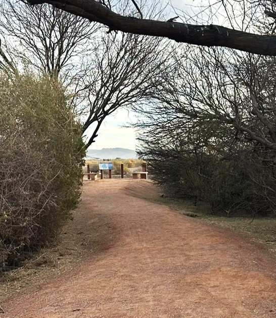 easy hike nevada ftr