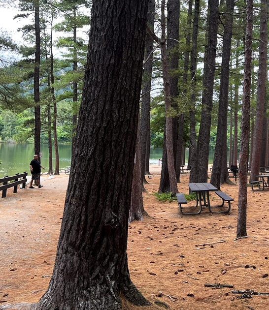 easy hike new hampshire ftr