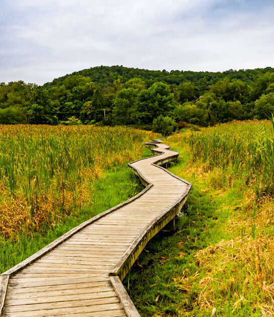 easy hike new jersey ftr