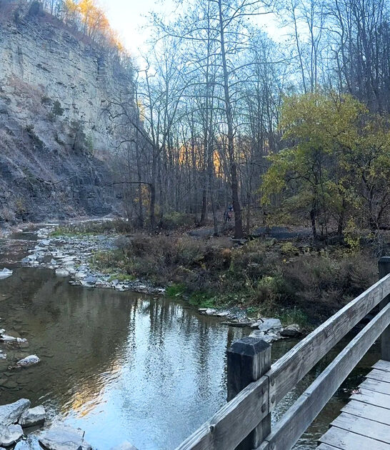 easy hike new york ftr