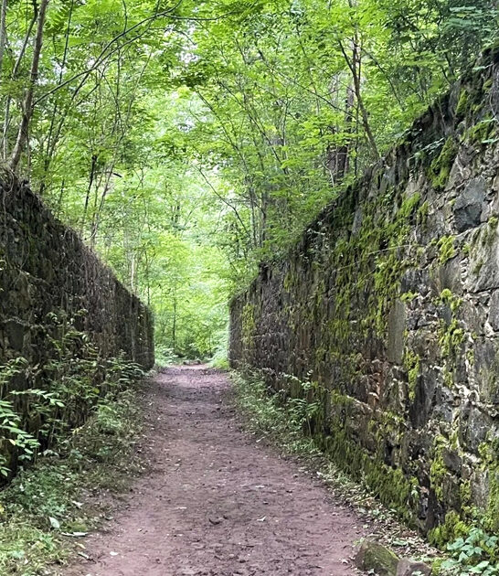 easy hike south carolina ftr