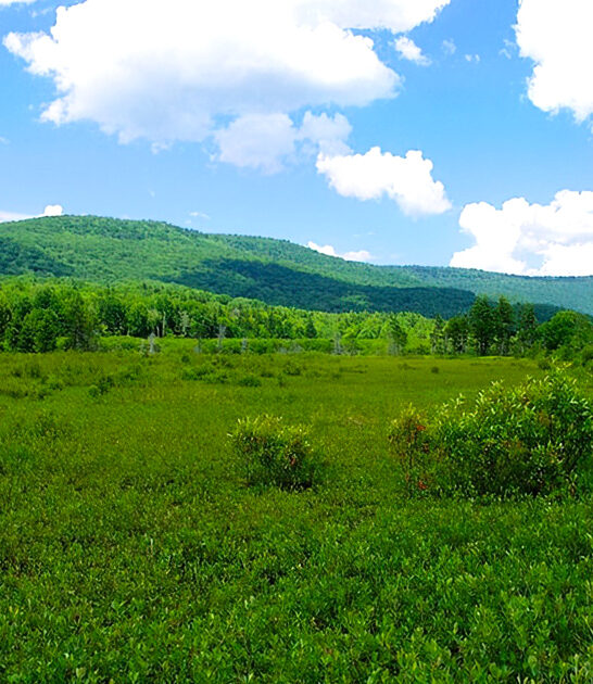 easy hike west virginia ftr
