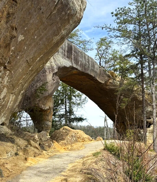 easy mile hike kentucky ftr