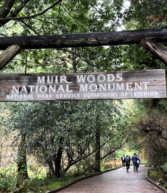 easy scenic hike california ftr