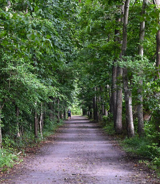 easy scenic hike delaware ftr