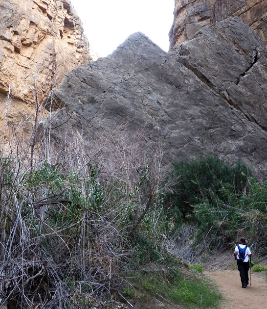 easy scenic hike texas ftr
