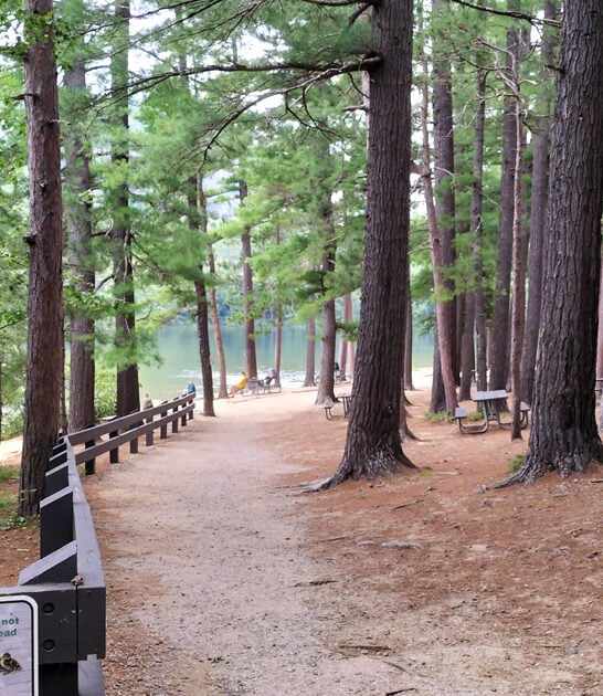 easy trail new hampshire ftr