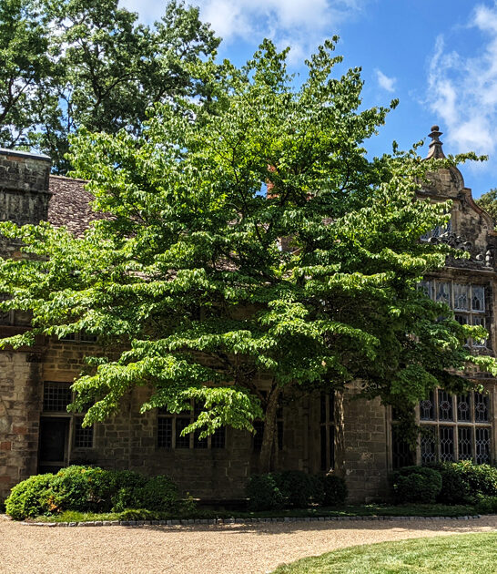 enchanting virginia castle ftr