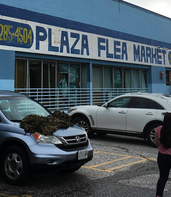 enormous bazaar maryland bargain ftr