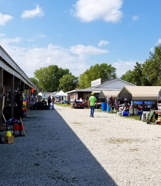 enormous bazaar missouri bargain ftr