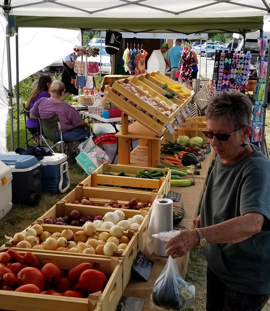 enormous bazaars idaho treasures ftr