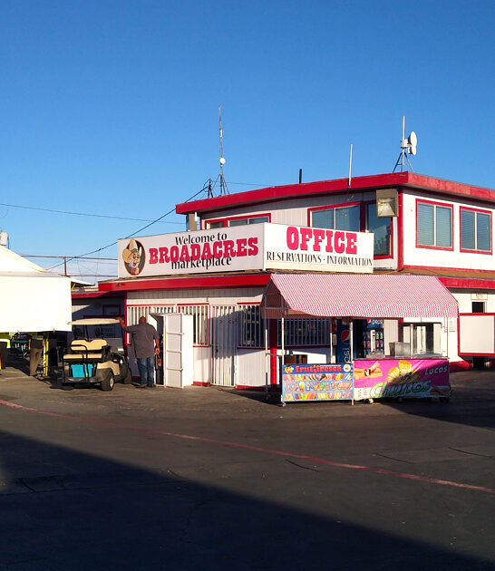 enormous bazaars nevada bargains ftr