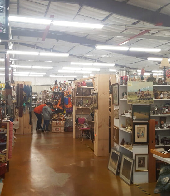 enormous bazaars wisconsin ftr