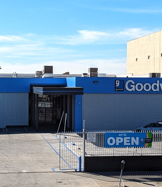 enormous california bargain hunters ftr